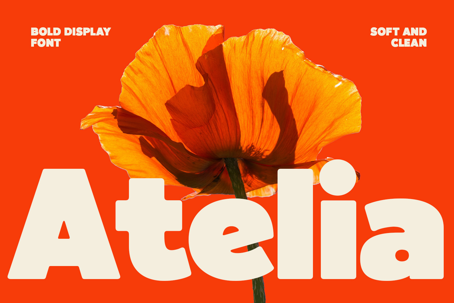 Atelia Font by Viswell Studio